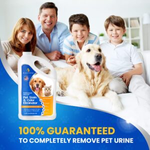 Pet Stain Remover & Odor Eliminator Spray - Professional Strength Formula - Enzyme Powered Carpet Cleaner Solution - Natural Deodorizer - Bio-enzymatic - Dog, Cat Urine Destroyer - Dye Free 32oz Spay