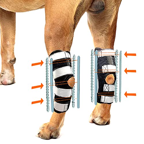 NeoAlly - 3-in-1 Long Rear Leg Hock Brace, Dog Leg Brace for Rear Leg with Rigid & Spring Inserts, Hock and Ankle Support, Dog Leg Sleeve with Reflective Straps, XL, 1 Pair