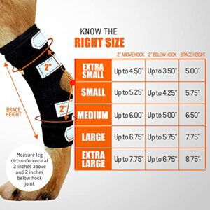 NeoAlly - 3-in-1 Long Rear Leg Hock Brace, Dog Leg Brace for Rear Leg with Rigid & Spring Inserts, Hock and Ankle Support, Dog Leg Sleeve with Reflective Straps, XL, 1 Pair