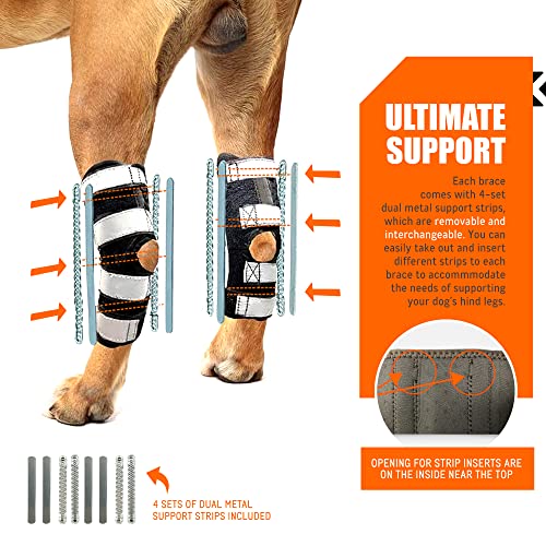 NeoAlly - 3-in-1 Long Rear Leg Hock Brace, Dog Leg Brace for Rear Leg with Rigid & Spring Inserts, Hock and Ankle Support, Dog Leg Sleeve with Reflective Straps, XL, 1 Pair