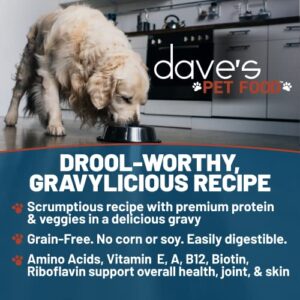 Dave's Pet Food Gravylicous Soft Wet Dog Food for Small & Large Dogs (Chicken & Duck with Veggies), Grain Free Canned Dog Food, Added Vitamins & Minerals, Wheat & Gluten-Free, 12oz Cans (Case of 12)