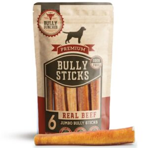 bully bunches premium 6 inch jumbo odor-free bully sticks for medium & large dogs - long lasting chews for oral care - all natural & single ingredient, 100% beef dog treat, rawhide free (6 pk)