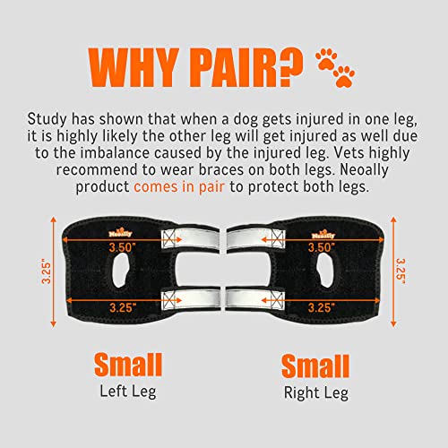 NeoAlly - 3-in-1 Short Rear Leg Hock Brace, Dog Leg Brace for Rear Leg with Rigid & Spring Inserts, Hock and Ankle Support, Dog Leg Sleeve with Reflective Straps, Small, 1 Pair