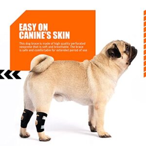 NeoAlly - 3-in-1 Short Rear Leg Hock Brace, Dog Leg Brace for Rear Leg with Rigid & Spring Inserts, Hock and Ankle Support, Dog Leg Sleeve with Reflective Straps, Small, 1 Pair