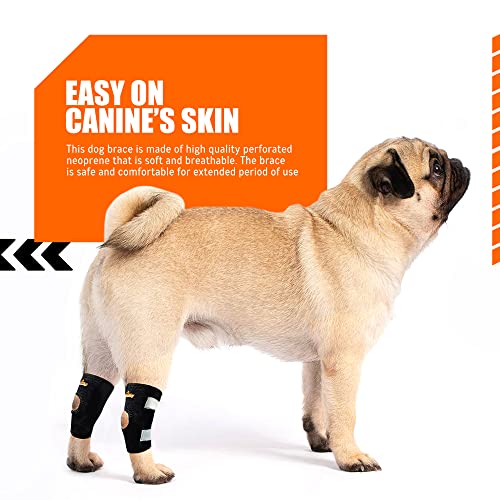 NeoAlly - 3-in-1 Short Rear Leg Hock Brace, Dog Leg Brace for Rear Leg with Rigid & Spring Inserts, Hock and Ankle Support, Dog Leg Sleeve with Reflective Straps, Small, 1 Pair