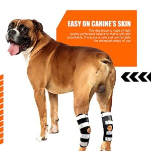 NeoAlly - 3-in-1 Long Rear Leg Hock Brace, Dog Leg Brace for Rear Leg with Rigid & Spring Inserts, Hock and Ankle Support, Dog Leg Sleeve with Reflective Straps, XL, 1 Pair