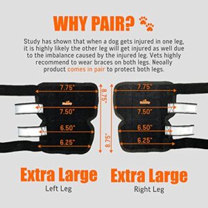 NeoAlly - 3-in-1 Long Rear Leg Hock Brace, Dog Leg Brace for Rear Leg with Rigid & Spring Inserts, Hock and Ankle Support, Dog Leg Sleeve with Reflective Straps, XL, 1 Pair