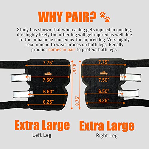 NeoAlly - 3-in-1 Long Rear Leg Hock Brace, Dog Leg Brace for Rear Leg with Rigid & Spring Inserts, Hock and Ankle Support, Dog Leg Sleeve with Reflective Straps, XL, 1 Pair