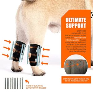 NeoAlly - 3-in-1 Short Rear Leg Hock Brace, Dog Leg Brace for Rear Leg with Rigid & Spring Inserts, Hock and Ankle Support, Dog Leg Sleeve with Reflective Straps, Small, 1 Pair