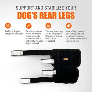 NeoAlly - 3-in-1 Long Rear Leg Hock Brace, Dog Leg Brace for Rear Leg with Rigid & Spring Inserts, Hock and Ankle Support, Dog Leg Sleeve with Reflective Straps, XL, 1 Pair