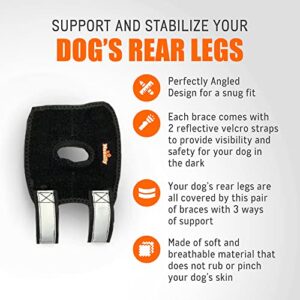 NeoAlly - 3-in-1 Short Rear Leg Hock Brace, Dog Leg Brace for Rear Leg with Rigid & Spring Inserts, Hock and Ankle Support, Dog Leg Sleeve with Reflective Straps, Small, 1 Pair