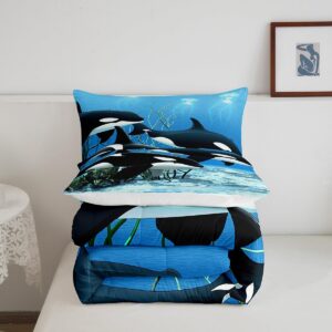 Erosebridal Killer Whale Bedding Sets Orcinus Orcas Comforter Set The Underwater World Jellyfish Down Comforter for Kids Boys Girls Deep Sea Animals Marine Life Duvet Insert 2 Pieces Twin Size