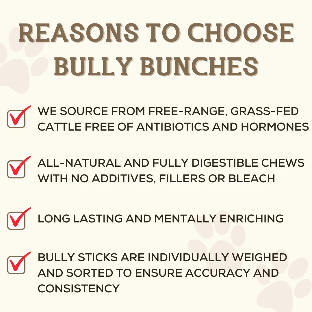 Bully Bunches Premium 6 Inch Jumbo Odor-Free Bully Sticks for Medium & Large Dogs - Long Lasting Chews for Oral Care - All Natural & Single Ingredient, 100% Beef Dog Treat, Rawhide Free (6 Pk)