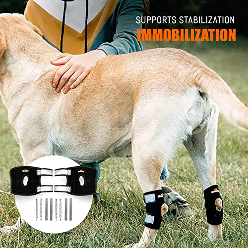 NeoAlly - 3-in-1 Short Rear Leg Hock Brace, Dog Leg Brace for Rear Leg with Rigid & Spring Inserts, Hock and Ankle Support, Dog Leg Sleeve with Reflective Straps, Small, 1 Pair