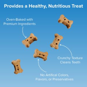 Blue Seal Kent Entrust Crunchers - Mini Dog Treats, Original Recipe - Crunchy Oven Baked Biscuits with Premium Ingredients, Healthy Snack, Ideal for Training - Made in USA, 2-Pound Bag