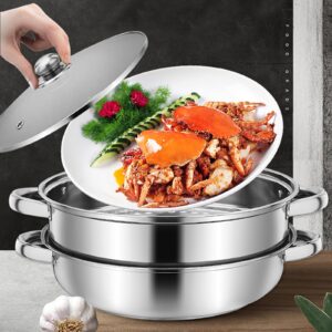 ZENFUN Steamer for Cooking, Steamer Pot with Steamer Insert, 2 Tier Stack and Steam Pot Set with Glass Lid, Stainless Steel Steamer Pot Double Handle, 11 Inch（Thickened）