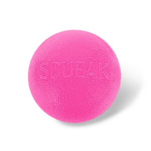 outward hound by planet dog squeak ball bouncy fetch dog toy, pink