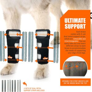 NeoAlly - 3-in-1 Dog Splint Front Leg Support, Front Leg Brace with Rigid and Spring Inserts, Dog Leg Sleeve for Pet Mobility, Stability, & Protection, With Reflective Straps, L-XL, 1 Pair