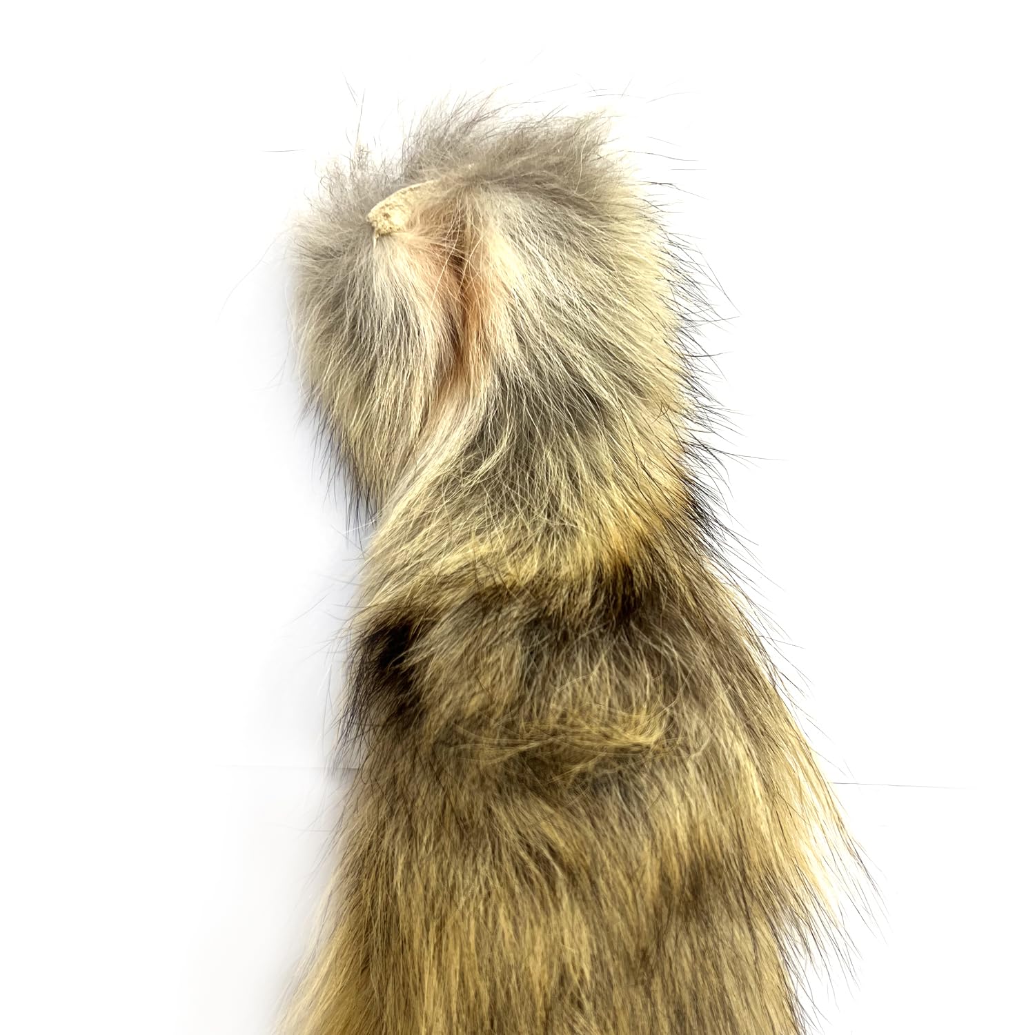 CIFIBIFUN Real Coyote Fluffy Tail Costume Fur Pelts Cosplay and Hides Tails DIY Ornament