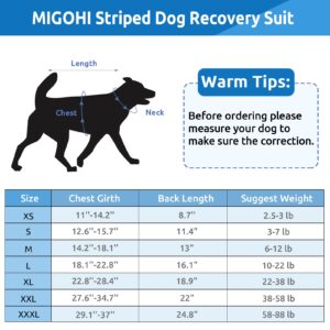 MIGOHI Dog Onesie for Surgery Female, Dog Recovery Suit Dog Cone Aternative, Surgical Suit for Dogs Male Neuter, Dog Body Suit After Surgery, Dog Post Surgery Pajamas, Suitical Recovery Shirt, L