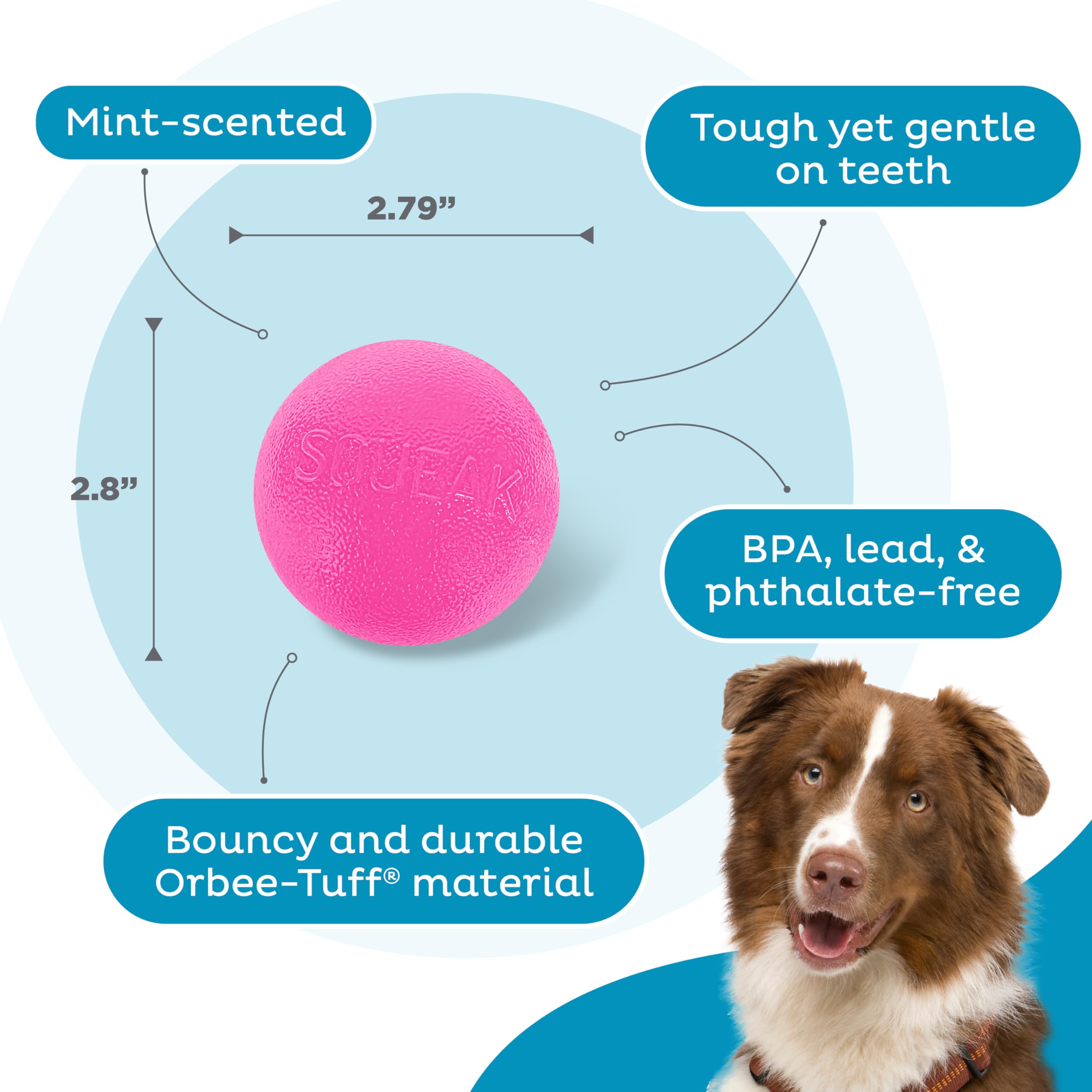 Outward Hound by Planet Dog Squeak Ball Bouncy Fetch Dog Toy, Pink