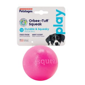 Outward Hound by Planet Dog Squeak Ball Bouncy Fetch Dog Toy, Pink