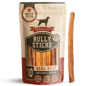 bully bunches premium 12 inch thick odor-free bully sticks for medium & large dogs - long lasting chews for oral care - all natural & single ingredient, 100% beef dog treat, rawhide free (10 pk)