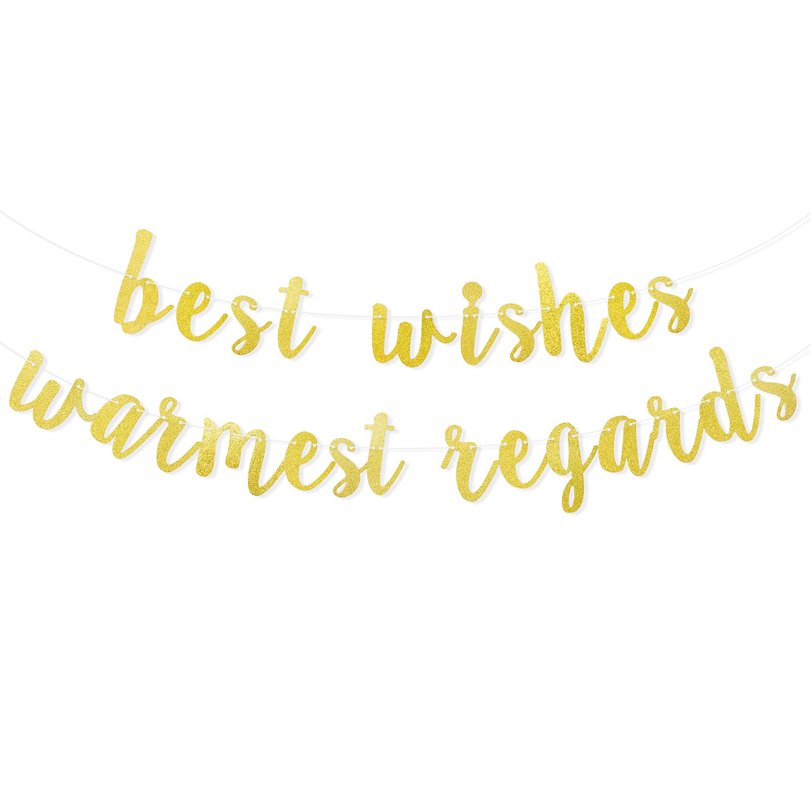 Best Wishes Warmest Regards Banner, Schitt's Greek Themed Birthday Banner, Graduation Party, Farewell Party Decorations(Gold Glitter)