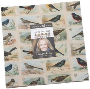 outdoorsy layer cake®, 42-10" precut fabric quilt squares by cathe holden