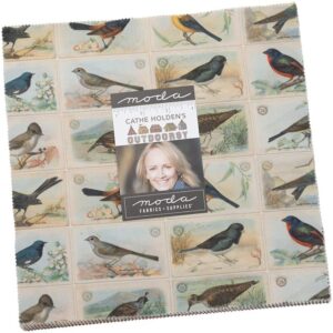 Outdoorsy Layer Cake®, 42-10" Precut Fabric Quilt Squares by Cathe Holden