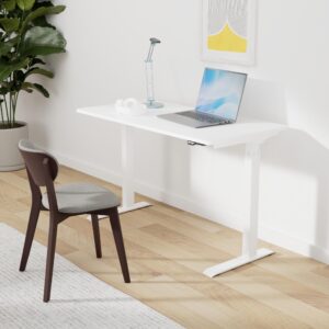 FLEXISPOT White Standing Desk 48 x 24 Inches Whole-Piece Desk Board Electric Stand Up Desk Height Adjustable Desk for Home Office(White Frame + 48" White Top)