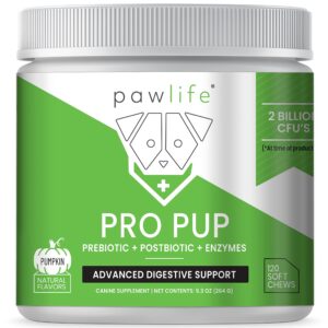 pawlife probiotic chews for dogs - pro pup dog probiotics, veterinarian formulated dog probiotics and digestive enzymes, dog gut health probiotics, natural dog gas relief (pumpkin flavor)