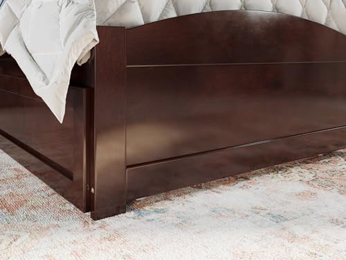 AFI Warren Twin XL Size Platform Bed with Footboard, Storage, & Charging Station in Walnut