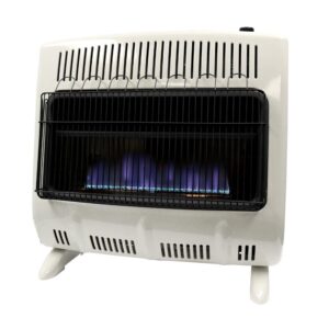 heatstar 30000 btu vent free blue flame propane heater with thermostat and blower