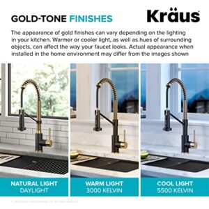 KRAUS Bolden Commercial Style 2-Function Single Handle Pull Down Kitchen Faucet in Brushed Brass/Matte Black, KPF-1610BBMB