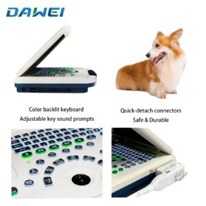 DAWEI Portable Ultrasound Machine Laptop Vet Ultrasound Scanner with 6.5Mhz Micro Convex Probe for Pregnancy Pet,Rabbits,Sheep,Dogs,Cats,Small Animals