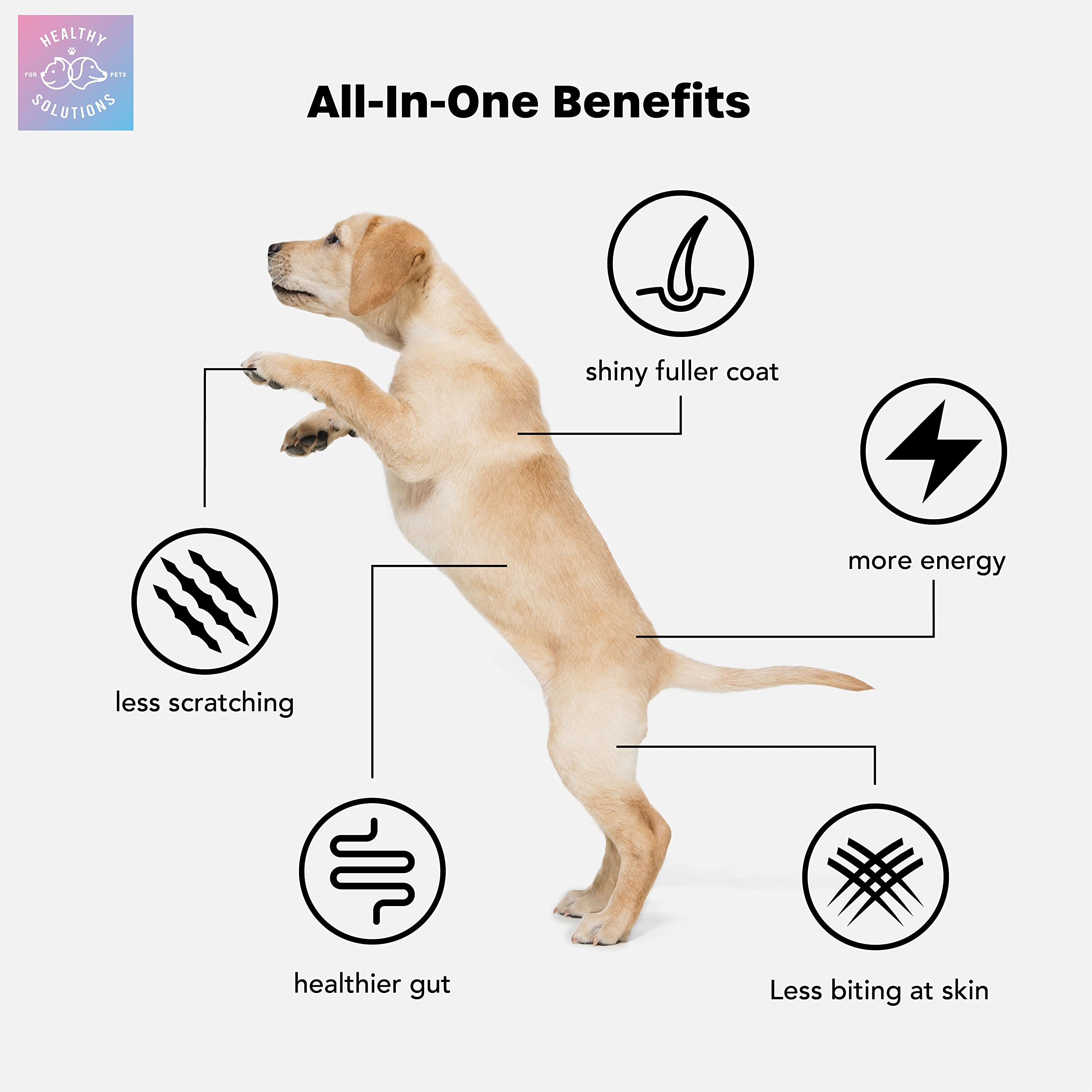 All-in-One Dog Vitamins & Supplements - Dog Multivitamin Supplement for Joint Support, Digestion, Skin, & Coat - Plus Omega-3, 6, 9 - Ultimate Daily Vitamin for Dogs - Made in USA, 120 Soft Chews