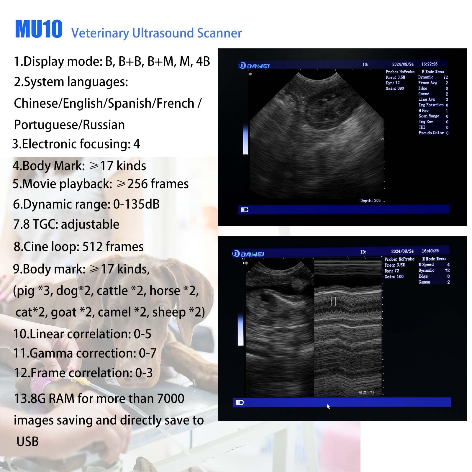 DAWEI Portable Ultrasound Machine Laptop Vet Ultrasound Scanner with 6.5Mhz Micro Convex Probe for Pregnancy Pet,Rabbits,Sheep,Dogs,Cats,Small Animals