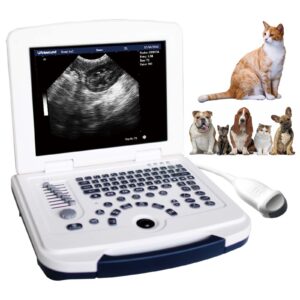 dawei portable ultrasound machine laptop vet ultrasound scanner with 6.5mhz micro convex probe for pregnancy pet,rabbits,sheep,dogs,cats,small animals