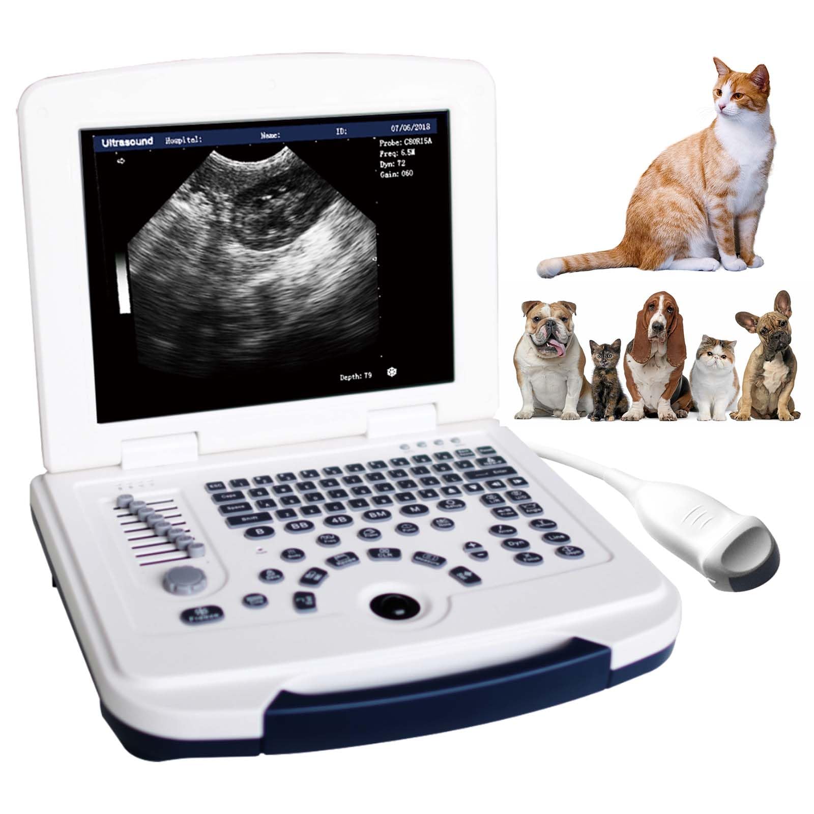 DAWEI Portable Ultrasound Machine Laptop Vet Ultrasound Scanner with 6.5Mhz Micro Convex Probe for Pregnancy Pet,Rabbits,Sheep,Dogs,Cats,Small Animals