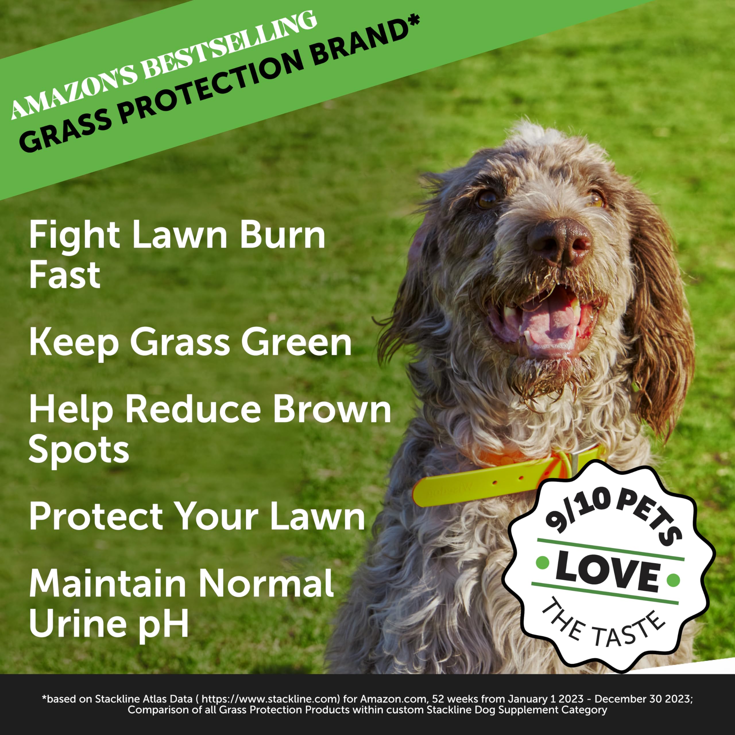 PetHonesty Grass Green Max Strength Burn Spot Chews for Dogs - Premium Formula - Dog Pee Lawn Spot Saver Supplement Caused by Dog Urine, Supports Healthy Digestion w/Probiotics + DL-Methionine - 90ct