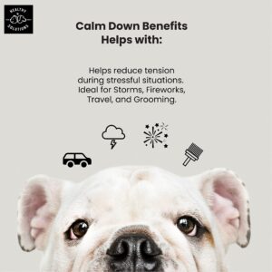 Calming Chews for Dogs - Dog Calming Treats for Anxiety & Stress Relief with Melatonin and Ginger - Aid with Storms, Grooming, Fireworks, Separation, Travel, Motion Sickness, & Sleep - 120 Chews