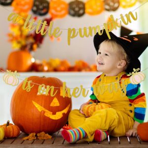 A Little Pumpkin Is On Her Way Banner for Fall Pumpkin Pink Girl Birthday Party Decorations, Thanksgiving Fall Theme Pumpkin Baby Shower Birthday Party Decorations Supplies (Gold & Pink Glitter)