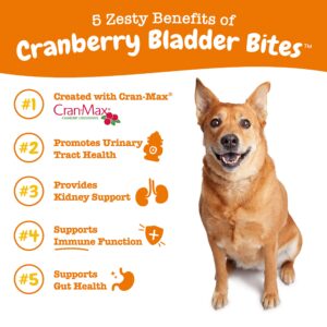 Cranberry Soft Chews for Dogs - Kidney, Bladder & Urinary Tract Wellness Supplement + Probiotics for Dogs - Probiotics for Gut Flora, Digestive Health