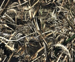 realtree edge | canvas tough duck 600d fabric | hunting camo water-resistant outdoor fabric | 58" wide | 1 yd