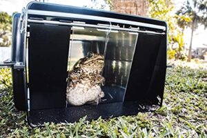 cane catcher - cane toad catcher trap - humanely protect your pets from poisonous cane toads