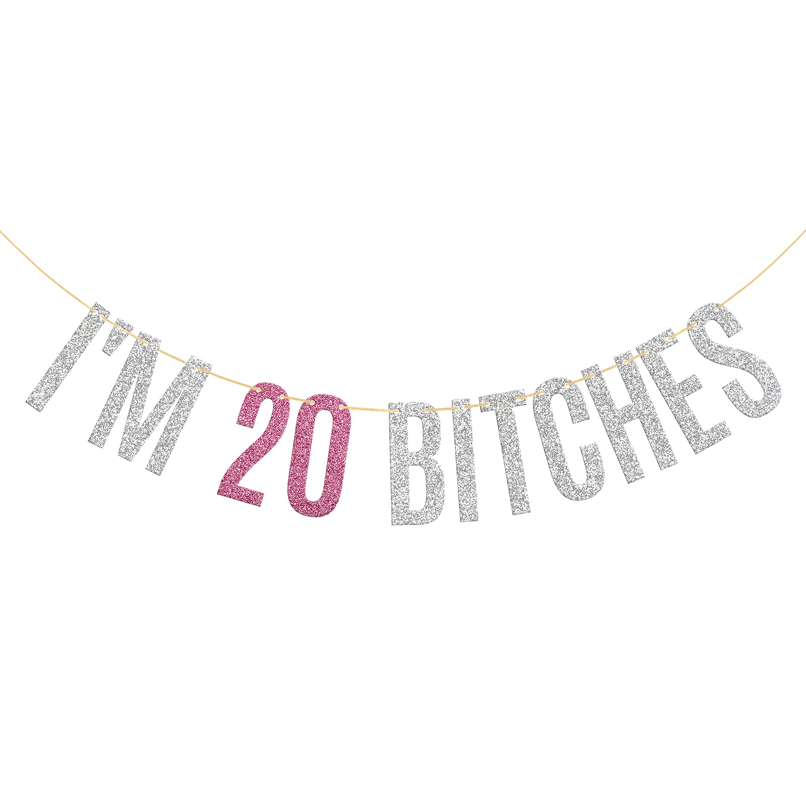 Glitter I'm 20 Bitches Banner Happy 20th Birthday Banner 20th Anniversary Girl's 20th Birthday Party Decorations Silver & Pink