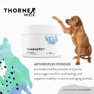 ThorneVet Joint Support Formula Powder, 120 Scoops