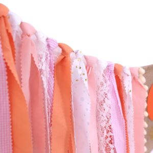 Pumpkin Highchair Banner for 1st Birthday - Little Pumpkin Banner, Pumpkin Birthday Party Decorations, Pink Orange First Birthday Banner, Baby Shower Decorations for Baby Girl