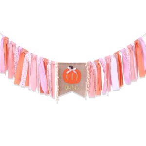 Pumpkin Highchair Banner for 1st Birthday - Little Pumpkin Banner, Pumpkin Birthday Party Decorations, Pink Orange First Birthday Banner, Baby Shower Decorations for Baby Girl